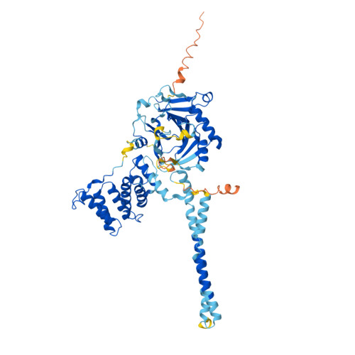 RCSB PDB - AF_AFA0A044RNR3F1: Computed structure model of Procollagen ...