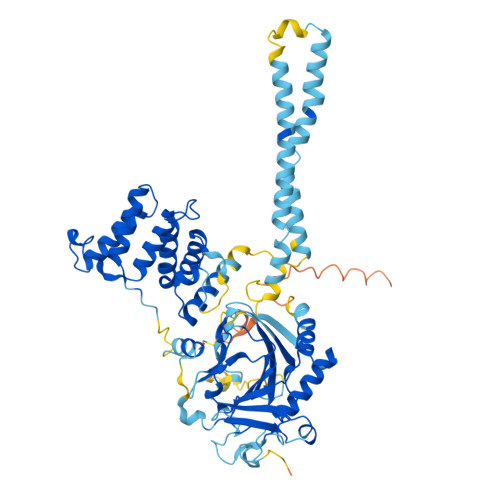 RCSB PDB - AF_AFA0A044RSP8F1: Computed structure model of Procollagen ...