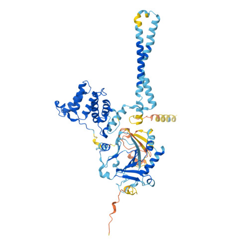 RCSB PDB - AF_AFA0A044RSV2F1: Computed structure model of Procollagen ...