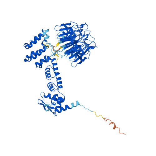 RCSB PDB - AF_AFA0A044UZ27F1: Computed structure model of BTB domain ...