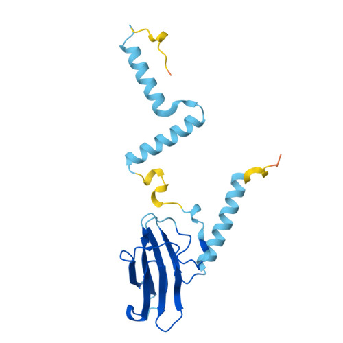 RCSB PDB - AF_AFA0A0D2GT67F1: Computed structure model of Unplaced ...