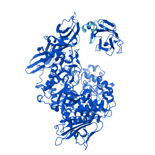 RCSB PDB - AF_AFA0A0H3GJK2F1: Computed structure model of Alpha-dextrin ...