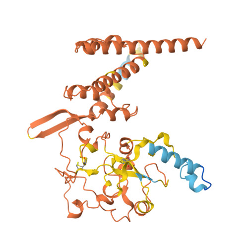 RCSB PDB - AF_AFA0A0K0ENN1F1: Computed structure model of Uncharacterized protein
