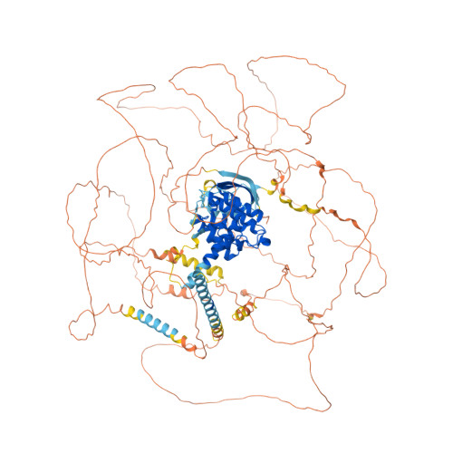RCSB PDB - AF_AFA0A0K3AW57F1: Computed structure model of Rho-GAP ...