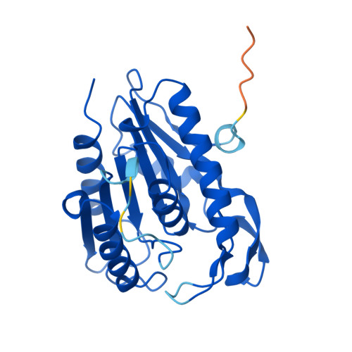 RCSB PDB - AF_AFA0A140VJC9F1: Computed structure model of ...