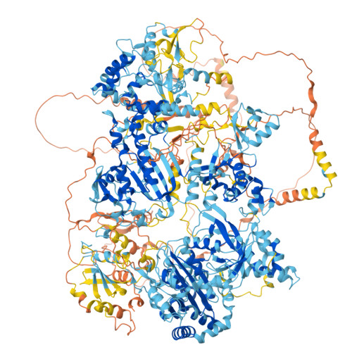 RCSB PDB - AF_AFA0A1D6ITF9F1: Computed structure model of ATP-dependent ...