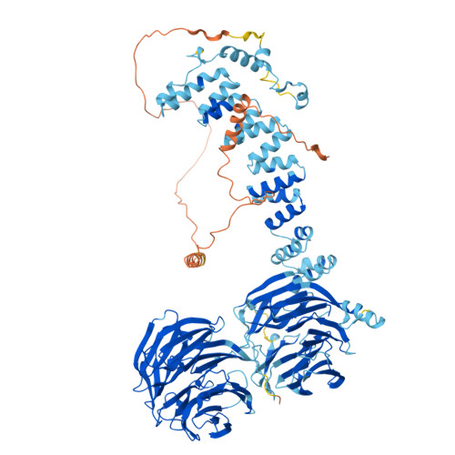 RCSB PDB - AF_AFA0A2R8RUW2F1: Computed structure model of Coatomer ...