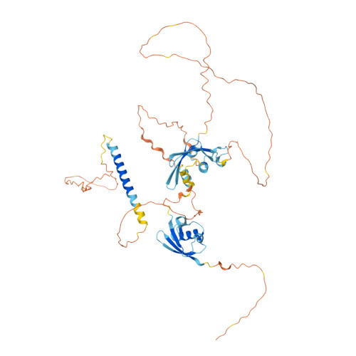 RCSB PDB - AF_AFA0A804HKJ8F1: Computed structure model of Midnolin