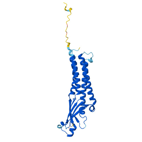 RCSB PDB - AF_AFA0PK11F1: Computed structure model of Clarin-2