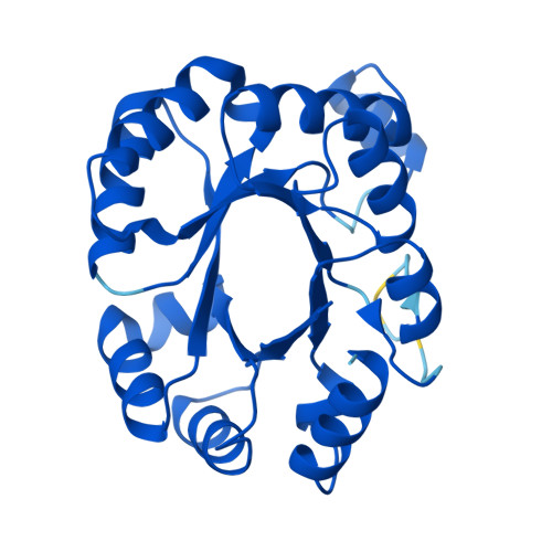 RCSB PDB - AF_AFA0RQJ5F1: Computed structure model of Orotidine 5 ...