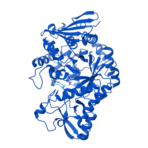 RCSB PDB - AF_AFA0ZZH6F1: Computed structure model of Sucrose phosphorylase