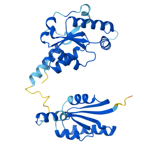 RCSB PDB - AF_AFA1ABP0F1: Computed structure model of ...
