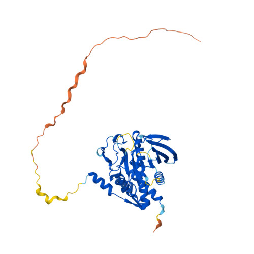 RCSB PDB - AF_AFA1MKQ8F1: Computed structure model of Protein-tyrosine ...