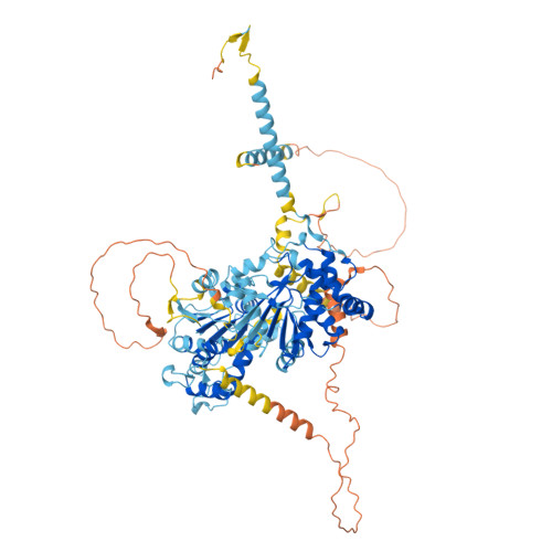 RCSB PDB - AF_AFA4I846F1: Computed structure model of ATP-dependent_RNA ...