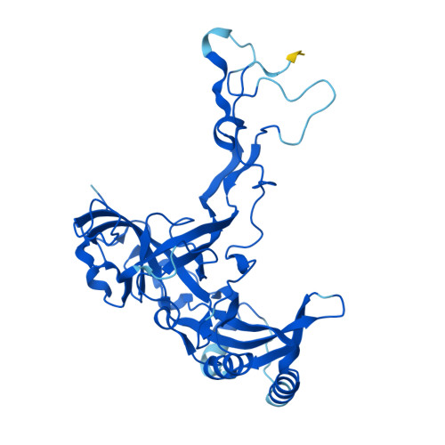 RCSB PDB - AF_AFA4YCW6F1: Computed structure model of 50S ribosomal ...