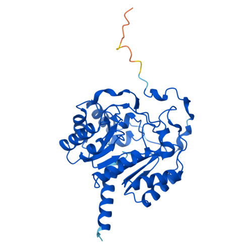RCSB PDB - AF_AFA6U8F5F1: Computed structure model of Lipoyl synthase