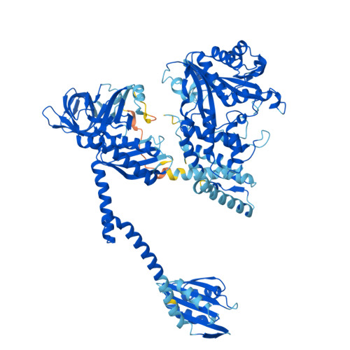 RCSB PDB - AF_AFA8AYI8F1: Computed structure model of Alanine--tRNA ligase