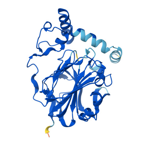 RCSB PDB - AF_AFA9C3H8F1: Computed structure model of ...