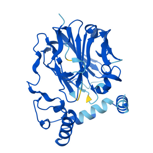 RCSB PDB - AF_AFA9IM91F1: Computed structure model of ...