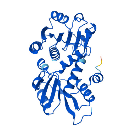 RCSB PDB - AF_AFA9N158F1: Computed structure model of Quinate/shikimate ...