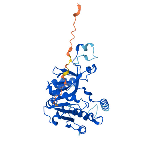 RCSB PDB - AF_AFB0RSI0F1: Computed structure model of 3-deoxy-manno ...