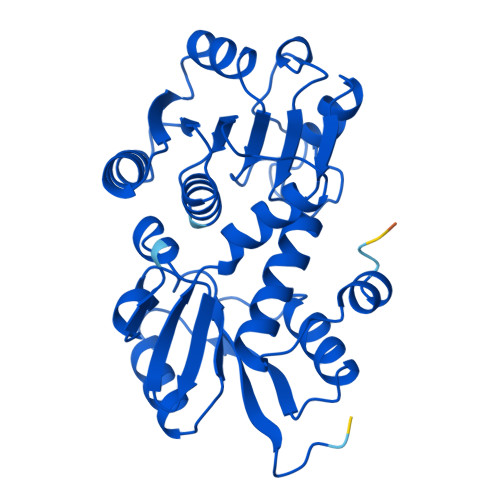 RCSB PDB - AF_AFB1IQ64F1: Computed structure model of Quinate/shikimate ...