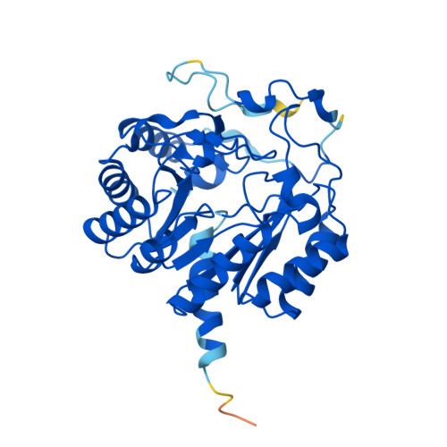 RCSB PDB - AF_AFB1LWN4F1: Computed structure model of Lipoyl synthase