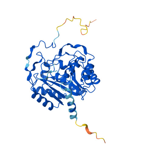 RCSB PDB - AF_AFB1ZEL4F1: Computed structure model of Lipoyl synthase