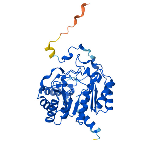 RCSB PDB - AF_AFB2IB58F1: Computed structure model of Lipoyl synthase