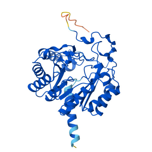 RCSB PDB - AF_AFB2S5X5F1: Computed structure model of Lipoyl synthase