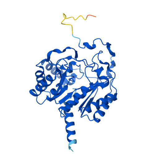 RCSB PDB - AF_AFB3PYS0F1: Computed structure model of Lipoyl synthase