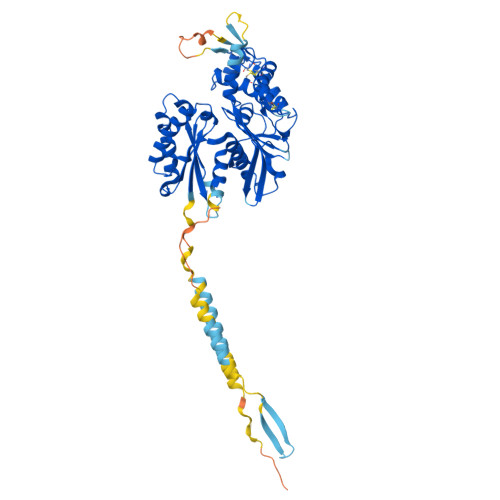 RCSB PDB - AF_AFB4FTQ8F1: Computed structure model of Putative apyrase 5