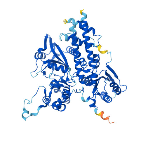 RCSB PDB - AF_AFB4TDG1F1: Computed structure model of Isocitrate ...