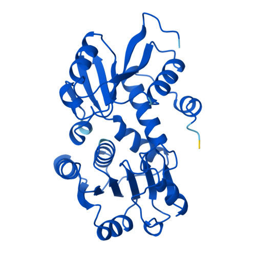 RCSB PDB - AF_AFB4TGJ7F1: Computed structure model of Quinate/shikimate ...