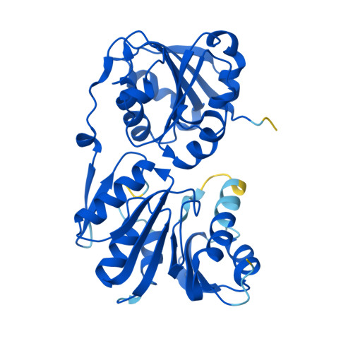 RCSB PDB - AF_AFB5FTB3F1: Computed structure model of Ribosomal RNA ...