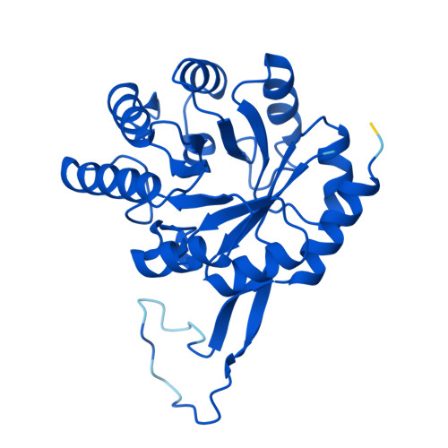 RCSB PDB - AF_AFB5XPZ4F1: Computed structure model of Copper ...