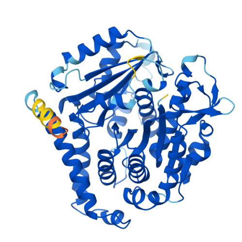 RCSB PDB - AF_AFB6TF38F1: Computed structure model of Tubulin beta chain