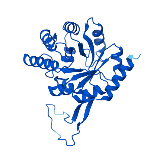 RCSB PDB - AF_AFB7M2G5F1: Computed structure model of Copper ...
