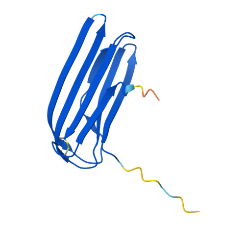 RCSB PDB - AF_AFB7MII3F1: Computed structure model of Curli assembly ...