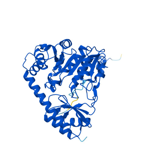 RCSB PDB - AF_AFB7MWU0F1: Computed structure model of Histidinol ...