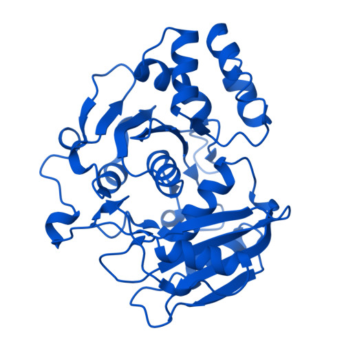 RCSB PDB - AF_AFB7NMA8F1: Computed structure model of Cytidine deaminase
