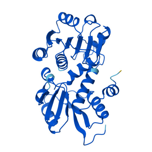 RCSB PDB - AF_AFB7US31F1: Computed structure model of Quinate/shikimate ...