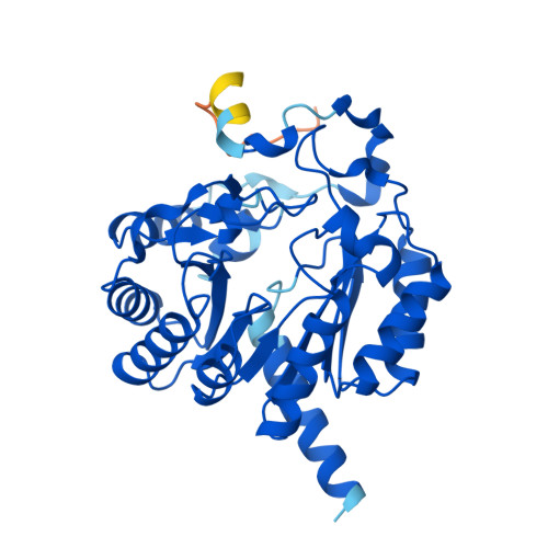 RCSB PDB - AF_AFB8GW82F1: Computed structure model of Lipoyl synthase