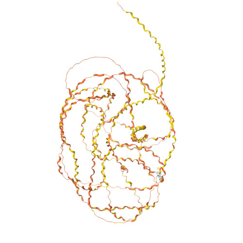 RCSB PDB - AF_AFC0HJN3F1: Computed structure model of Collagen alpha-1 ...