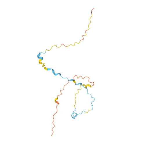 RCSB PDB - AF_AFC0NCQ5F1: Computed structure model of Uncharacterized ...