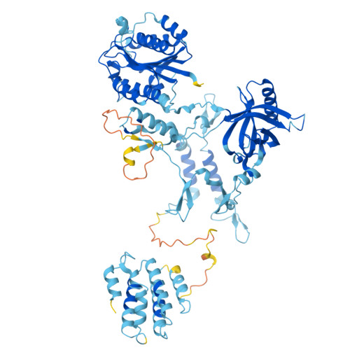 RCSB PDB - AF_AFC0NGZ1F1: Computed structure model of ATP-dependent DNA ...