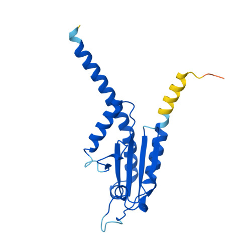 RCSB PDB - AF_AFC0NRI1F1: Computed structure model of Actin-related ...