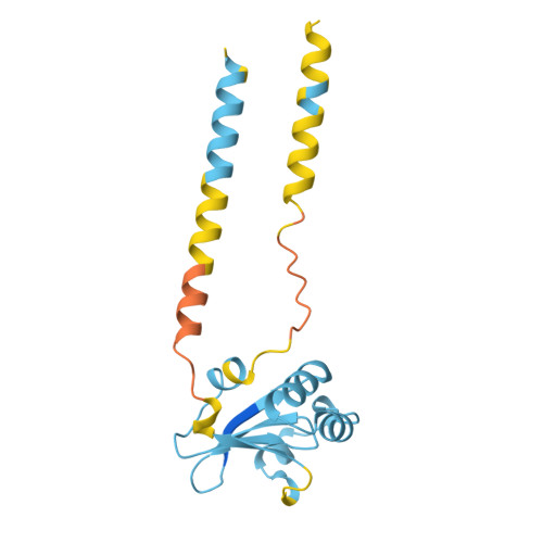 RCSB PDB - AF_AFC0NVL9F1: Computed structure model of Uncharacterized ...