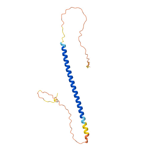 RCSB PDB - AF_AFC0P1A5F1: Computed structure model of Uncharacterized ...