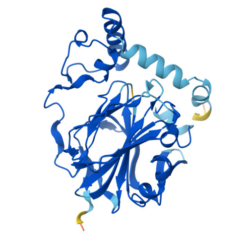 RCSB PDB - AF_AFC5CU16F1: Computed structure model of ...